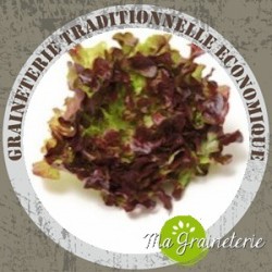 MaGraineterie - Vente en ligne de graines potagères et fleurs ...